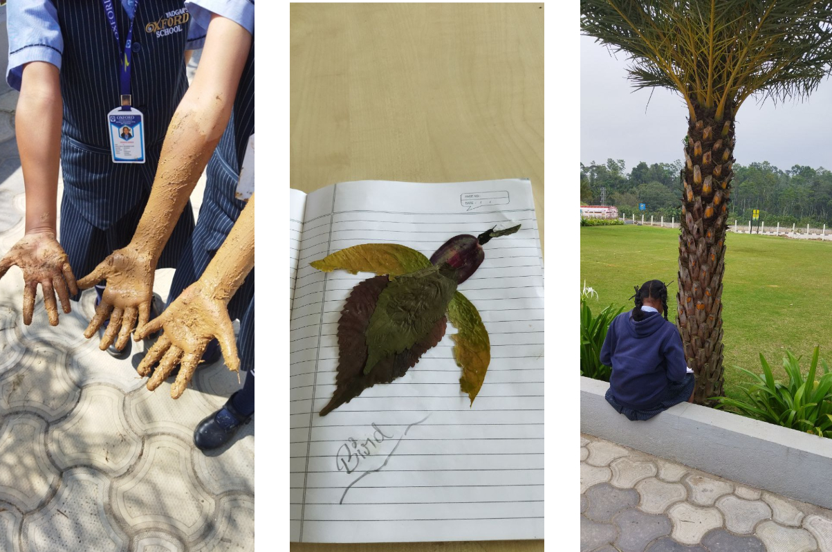 Rethinking School Landscapes Learning Through Lived Experience | Bhoomi ...